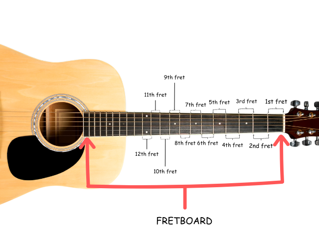 How to Learn to Play the Guitar as a Beginner in 7 Steps [Step by Step ...