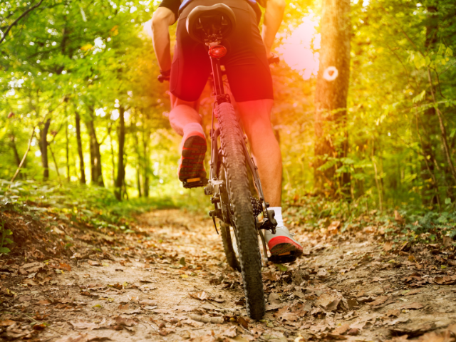 What Muscles Are Used During Cycling? | Vulta Blog